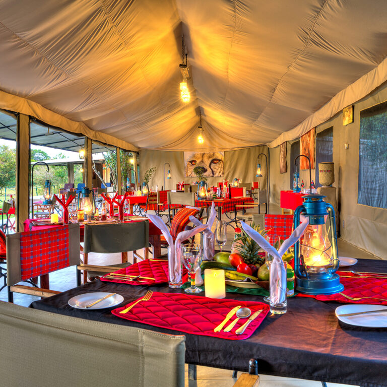 Malaikacamp – Das Abenteuercamp in der Maasai Mara, Kenia